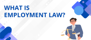 What is Employment Law? Your 2025 Guide to Workplace Rights